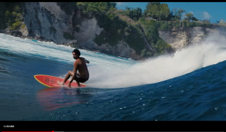 アルメリック Feb's Fish（フェブズフィッシュ） – サーフボード通販 Rubik surf